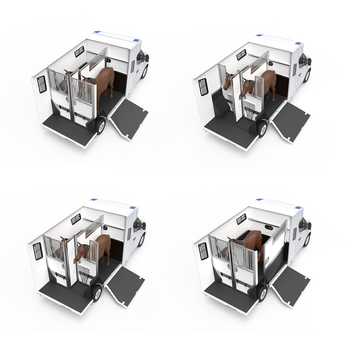 Proteo Switch - Theault